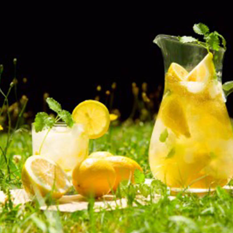 Winter Blahs - Bulb Blog | Gardening Tips and Tricks | Learn Planting ...