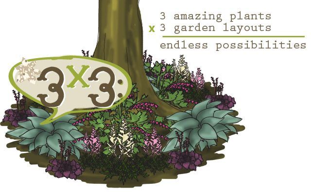 The 3x3 Garden Series (and no, I'm not talking dimensions...) - Bulb ...