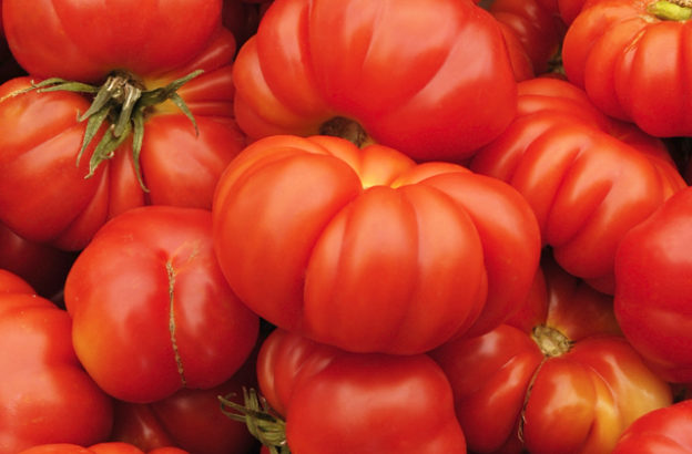 Heirloom Tomatoes - All the Rage or Just a lot of Hype? - Bulb Blog ...