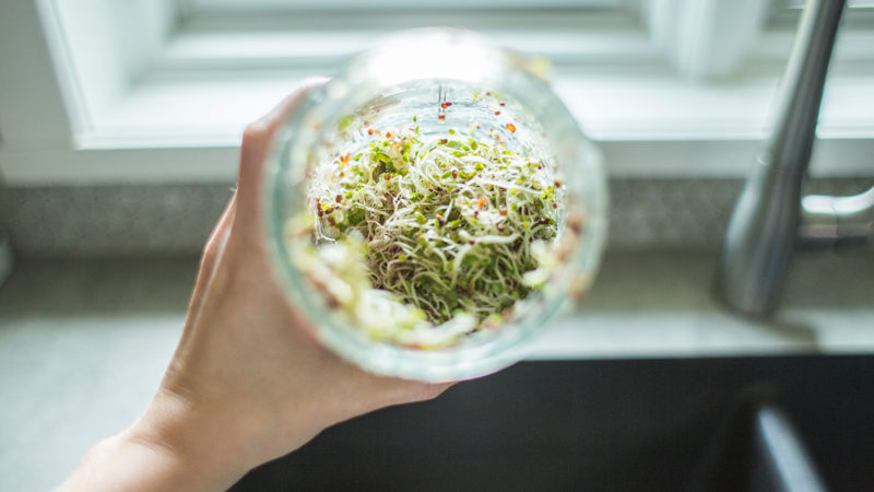 Edible Gardening Archives - Bulb Blog | Gardening Tips and Tricks ...