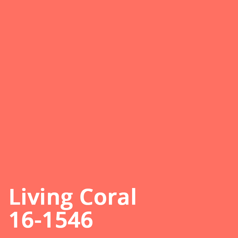 Living Coral the 2019 Pantone Color of the Year: Top 15 Flowers - Bulb ...