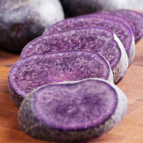 Seed Potatoes: 101 | How to Grow Seed Potatoes | Best Types of Potatoes