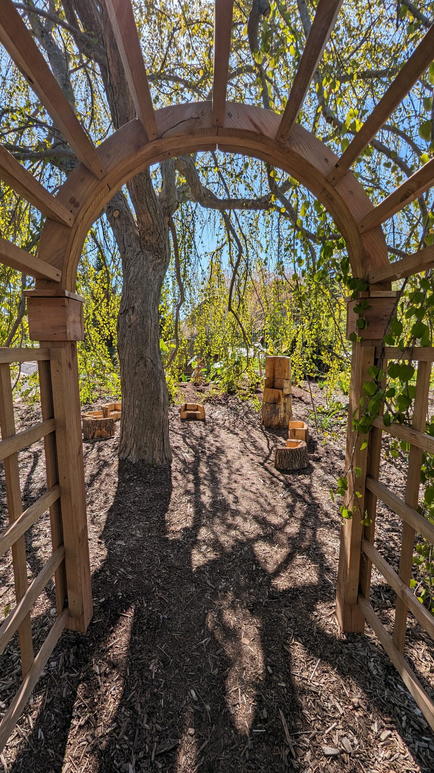 Visit Botanical Gardens: Ten Reasons Why | Garden Inspiration