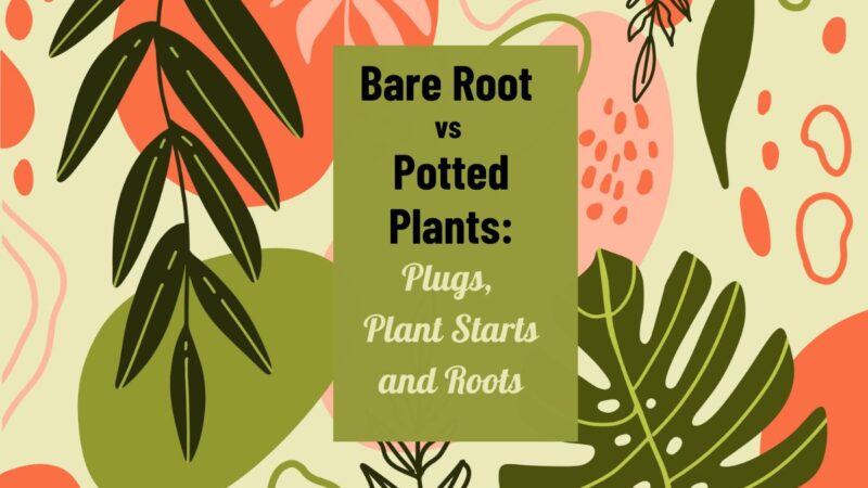 Bulb Blog | Gardening Tips and Tricks | Learn Planting Techniques ...