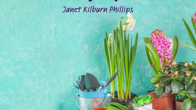 Gardening 101 Archives - Bulb Blog | Gardening Tips and Tricks | Learn ...